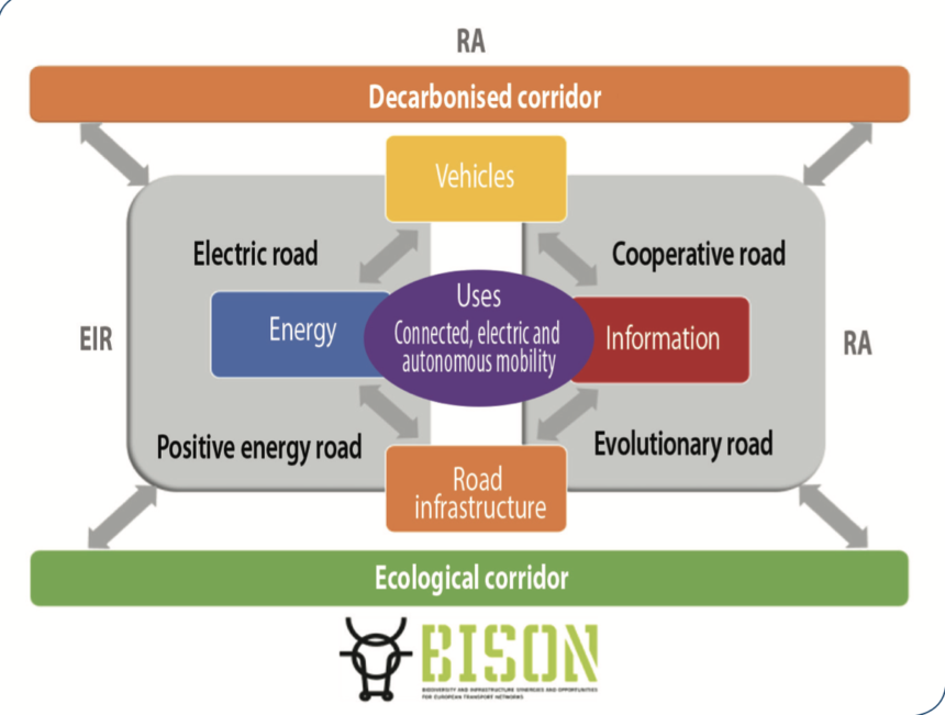 PIARC Magazine : Roads and biodiversity | IENE
