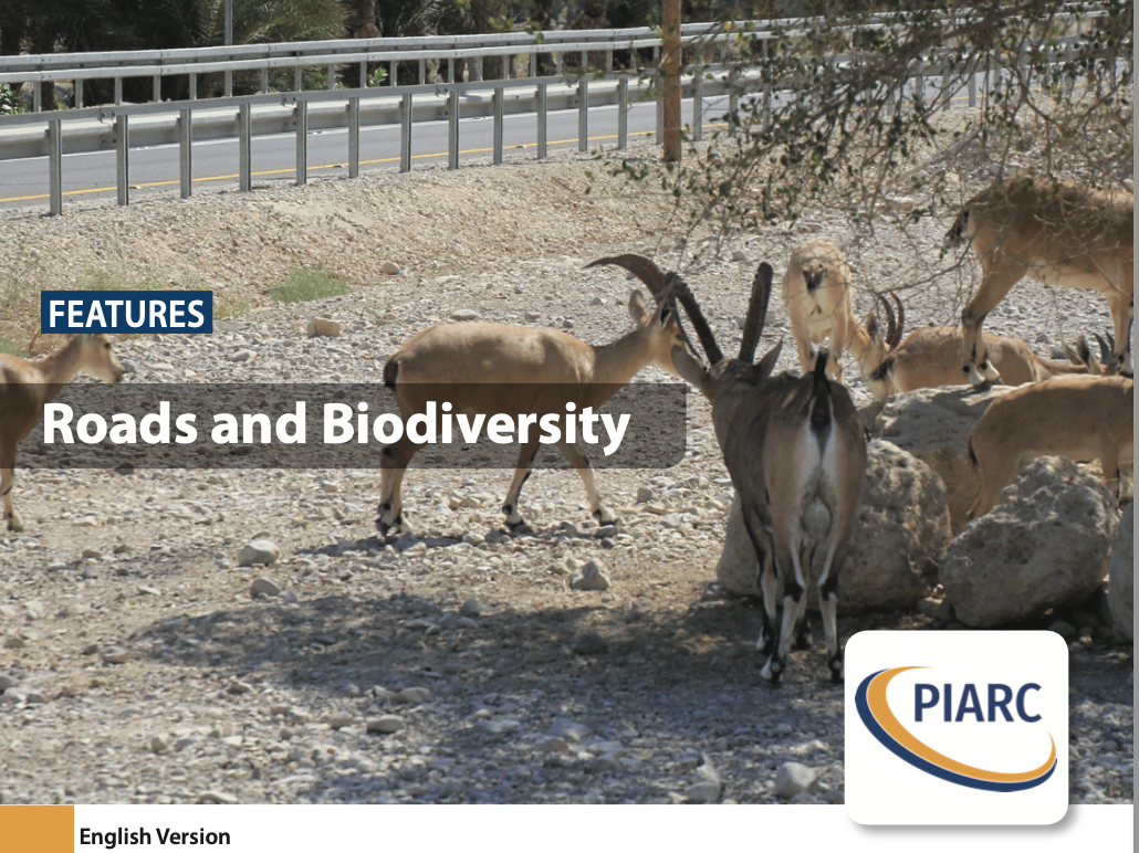 PIARC Magazine : Roads and biodiversity | IENE