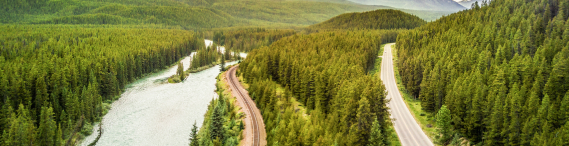 Harmonizing Transportation and Nature | IENE